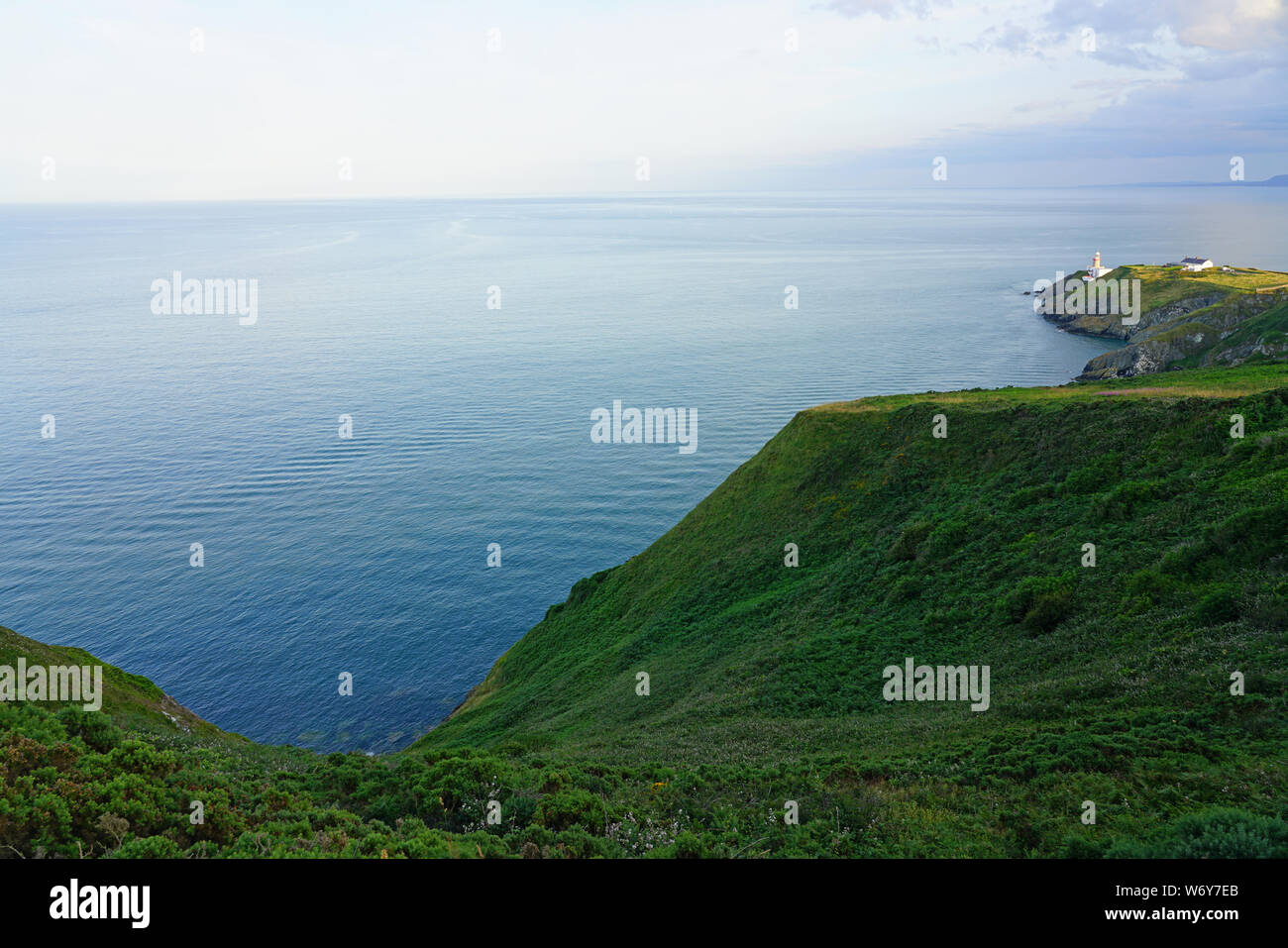 View of green heather fields, the Baily Lighthouse and the Irish Sea ...