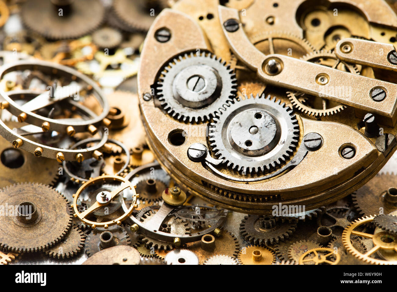 Pocket Watch Showing Gears
