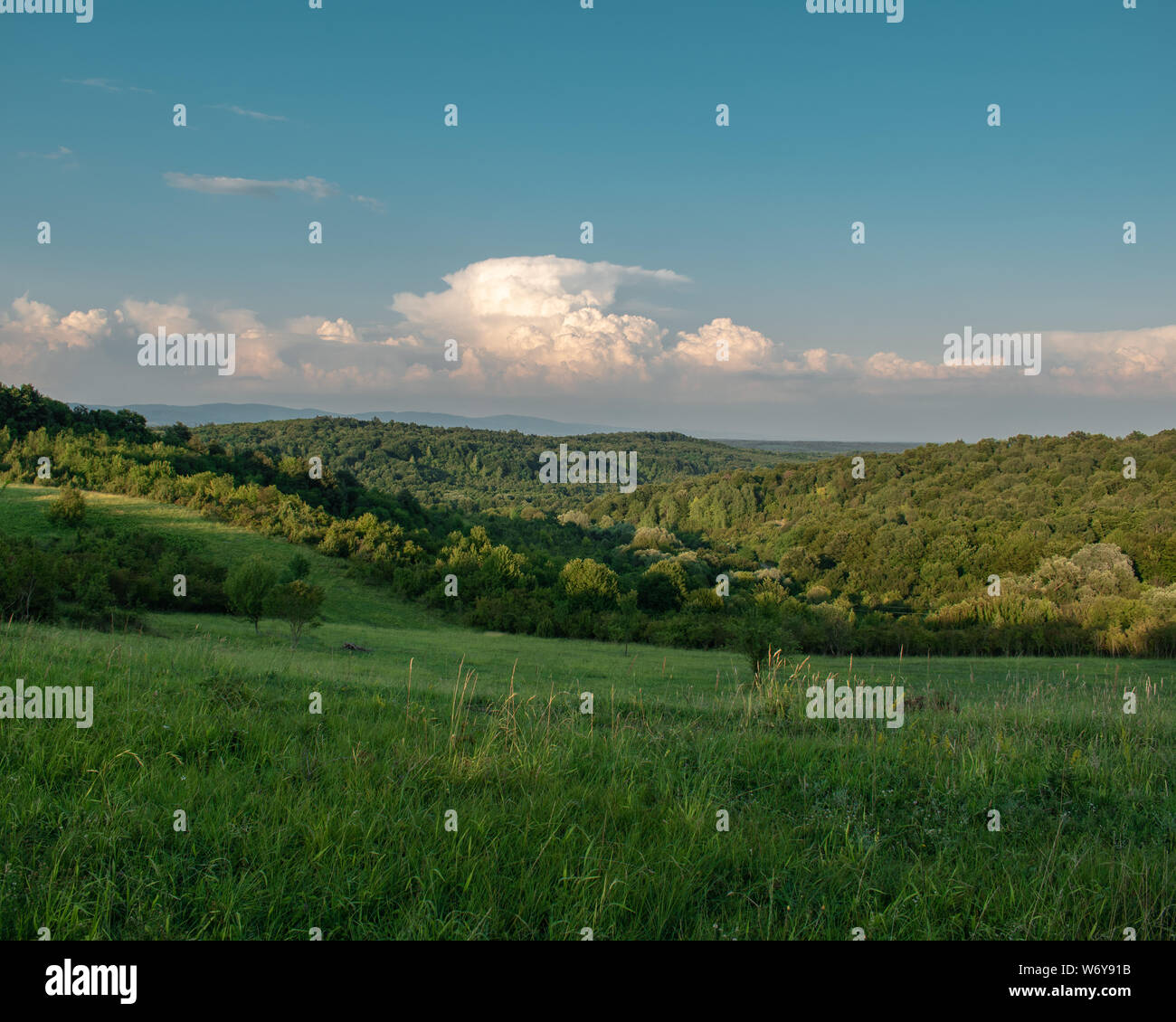 Slavonia croatia not zargreb hi-res stock photography and images - Alamy