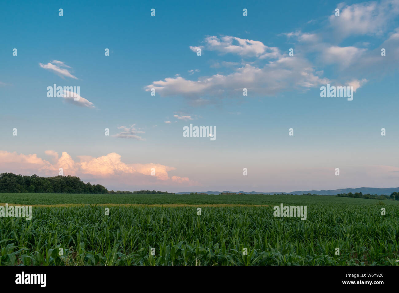 Slavonia croatia not zargreb hi-res stock photography and images - Alamy