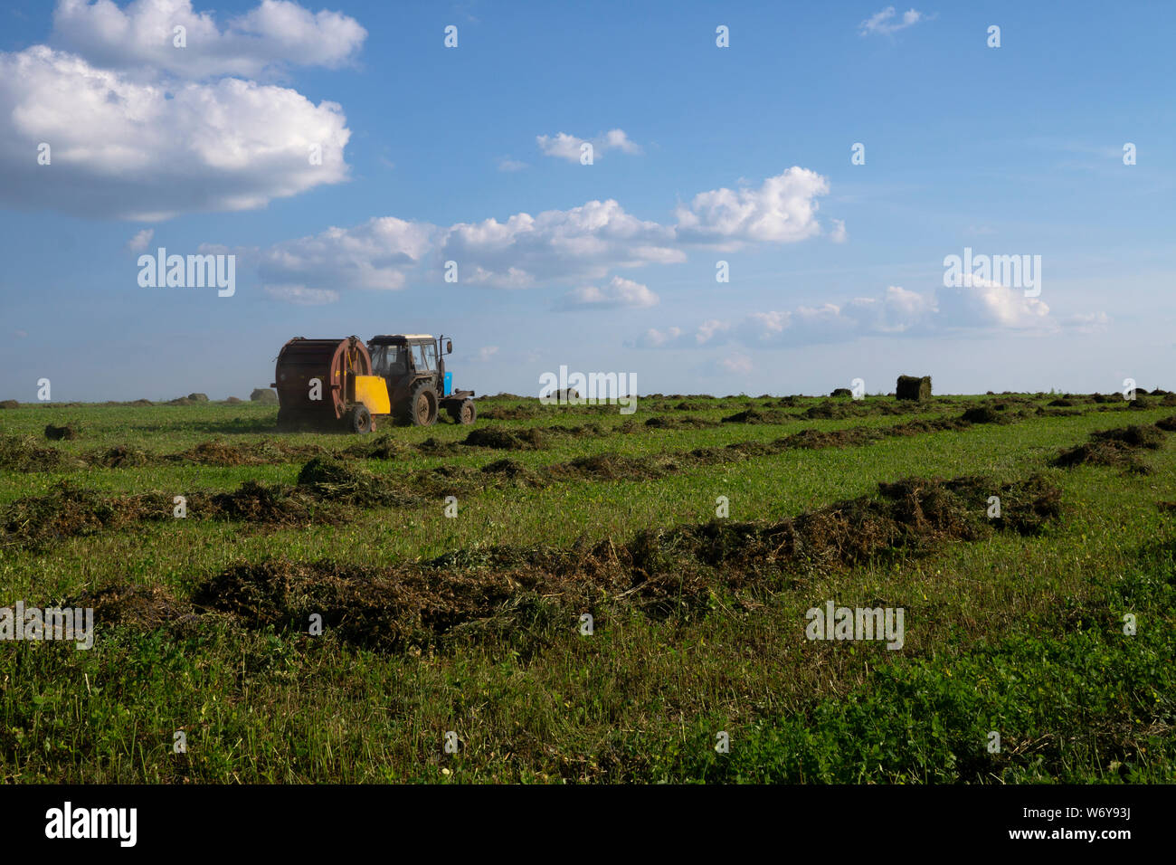 Agricultural machinery, a tractor collecting grass in a field against a ...