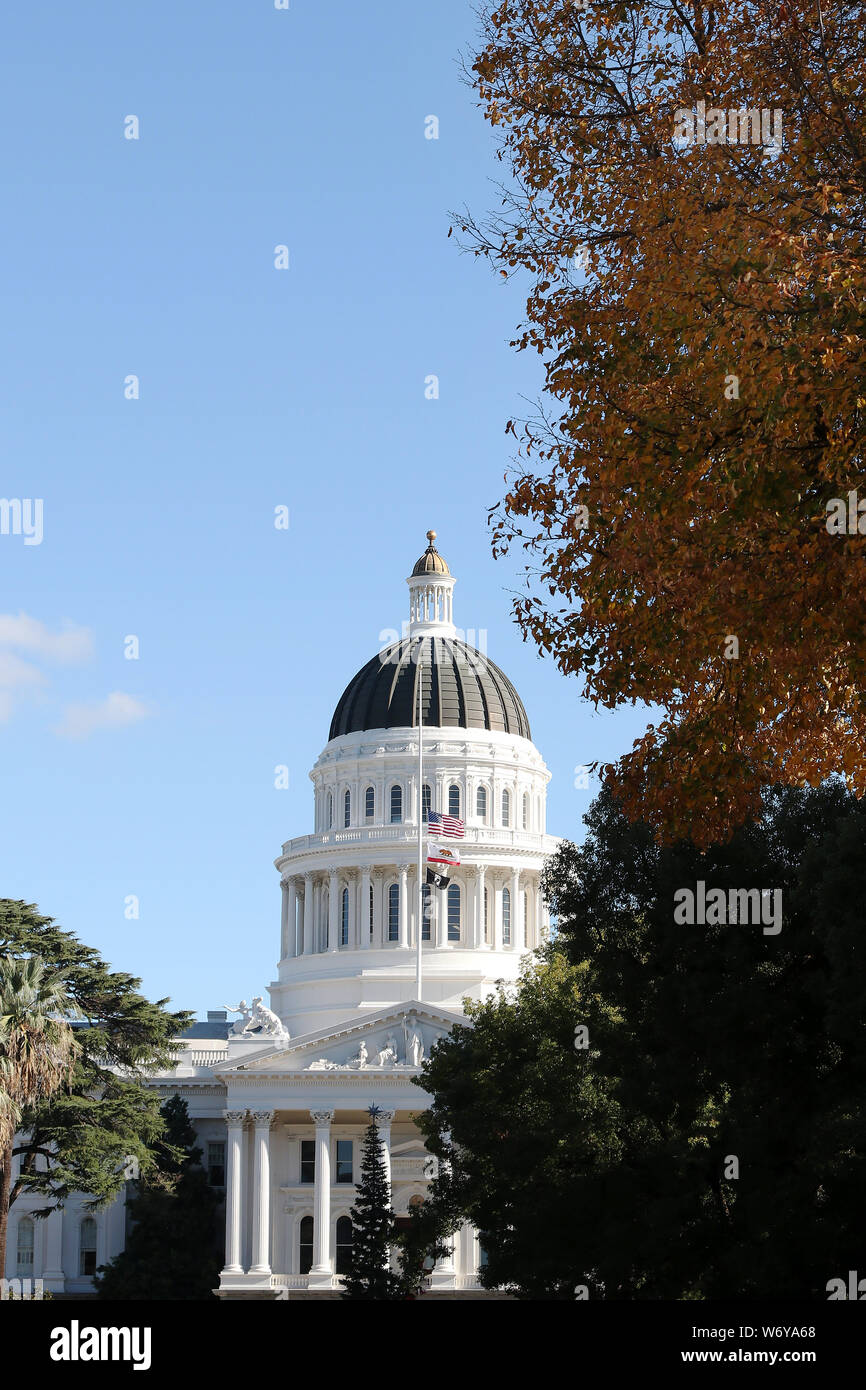 California State Capital Building with fall foliage Stock Photo - Alamy