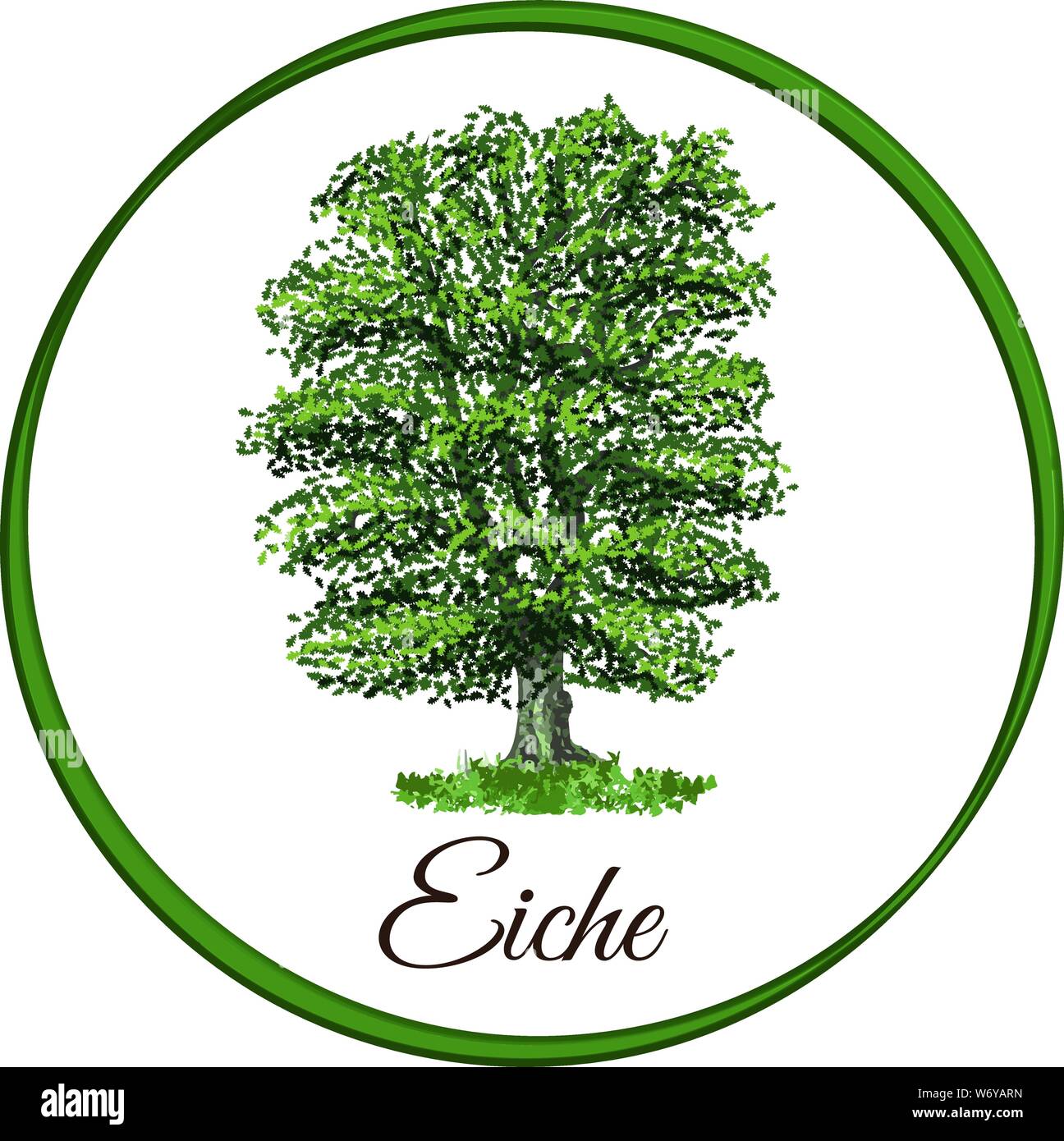 Oak tree Stock Vector Images - Alamy