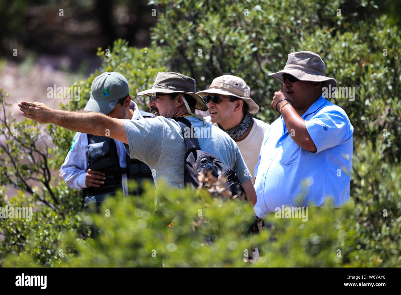Madrean Diversity Expeditions con la Comisiòn Nacional de Areas ...