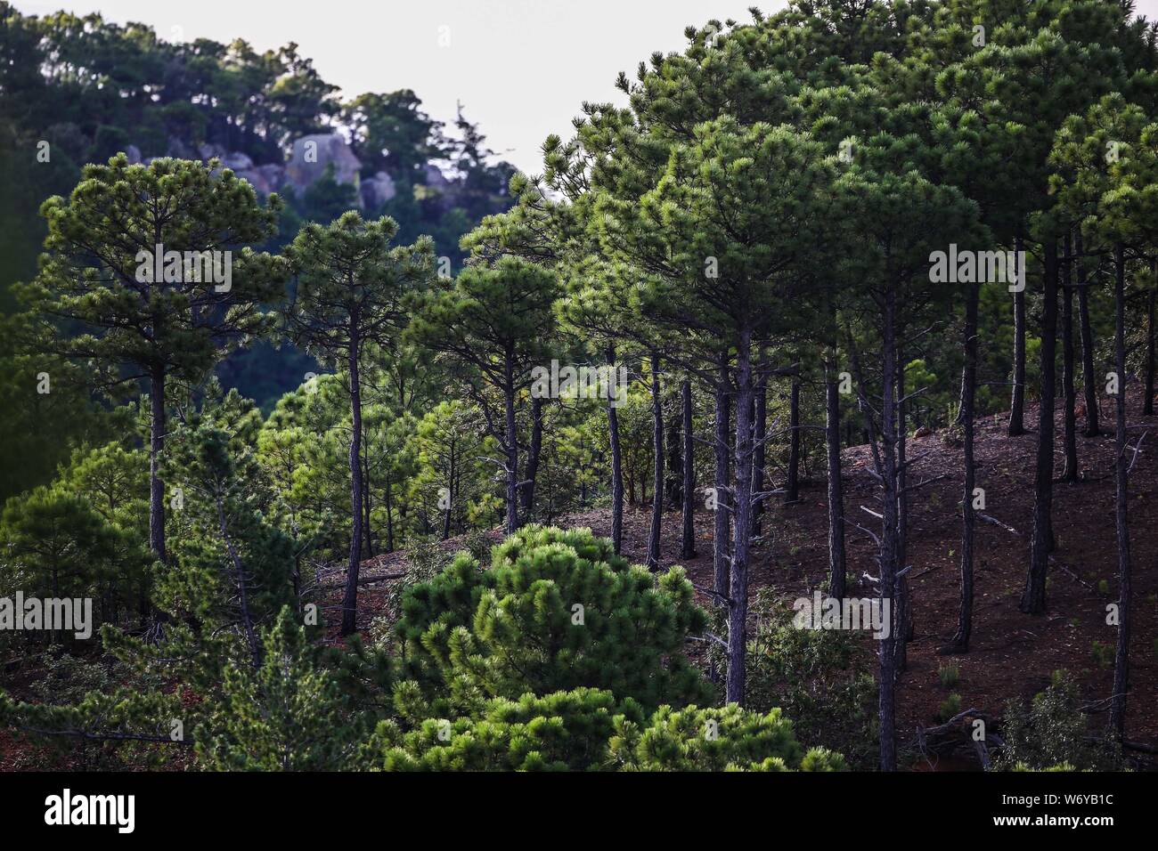 Madrean Diversity Expeditions con la Comisiòn Nacional de Areas ...