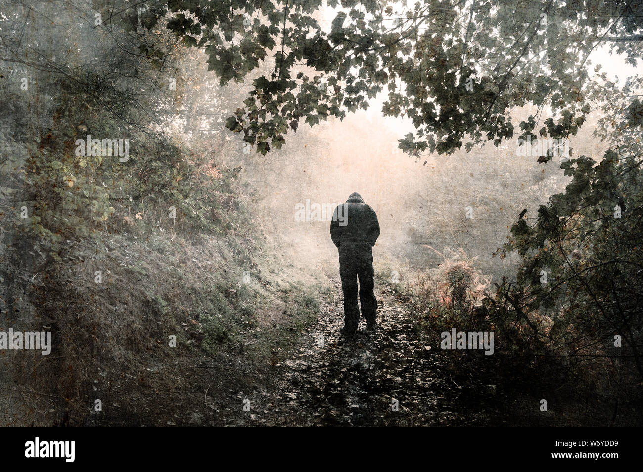 A hooded figure walking away from the camera on a misty woodland path ...