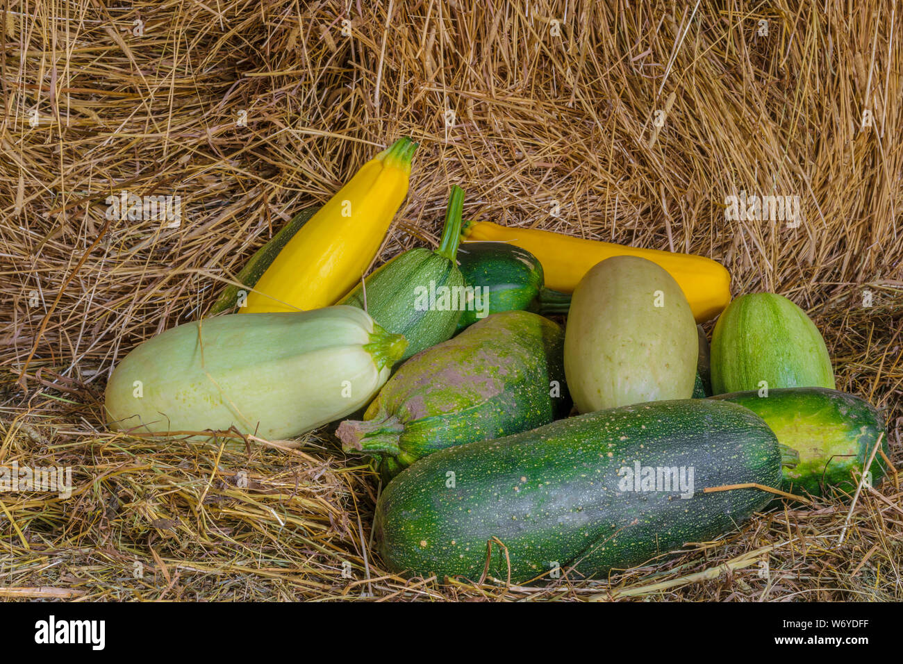 Courgette types hi-res stock photography and images - Alamy