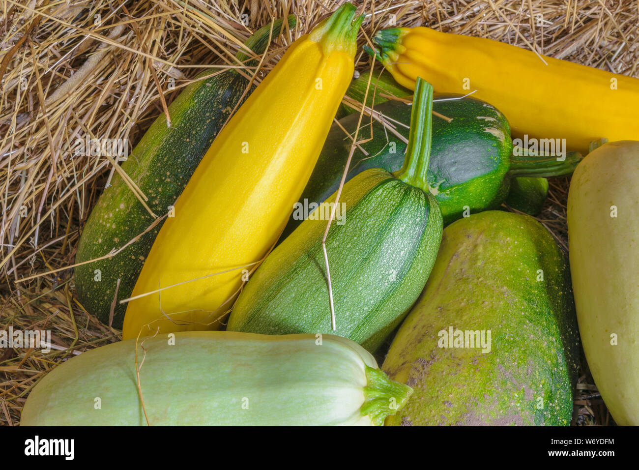 Courgette types hi-res stock photography and images - Alamy