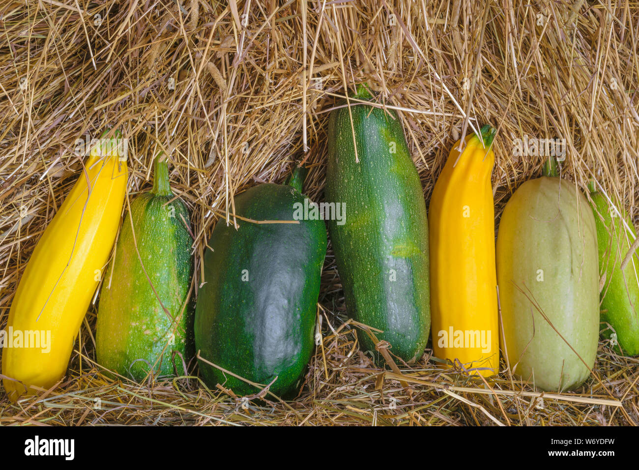 Courgette types hi-res stock photography and images - Alamy
