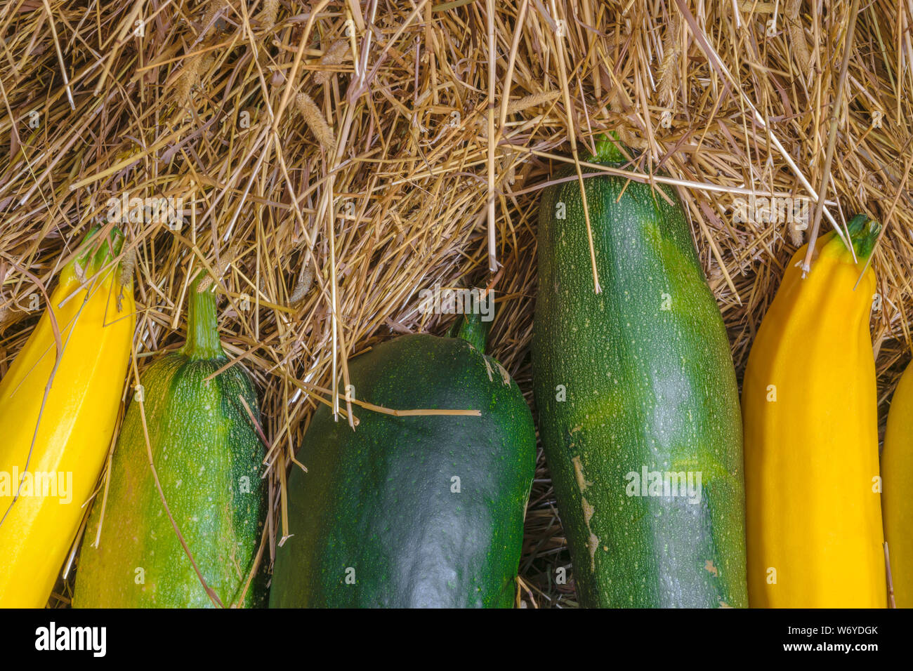 Courgette types hi-res stock photography and images - Alamy
