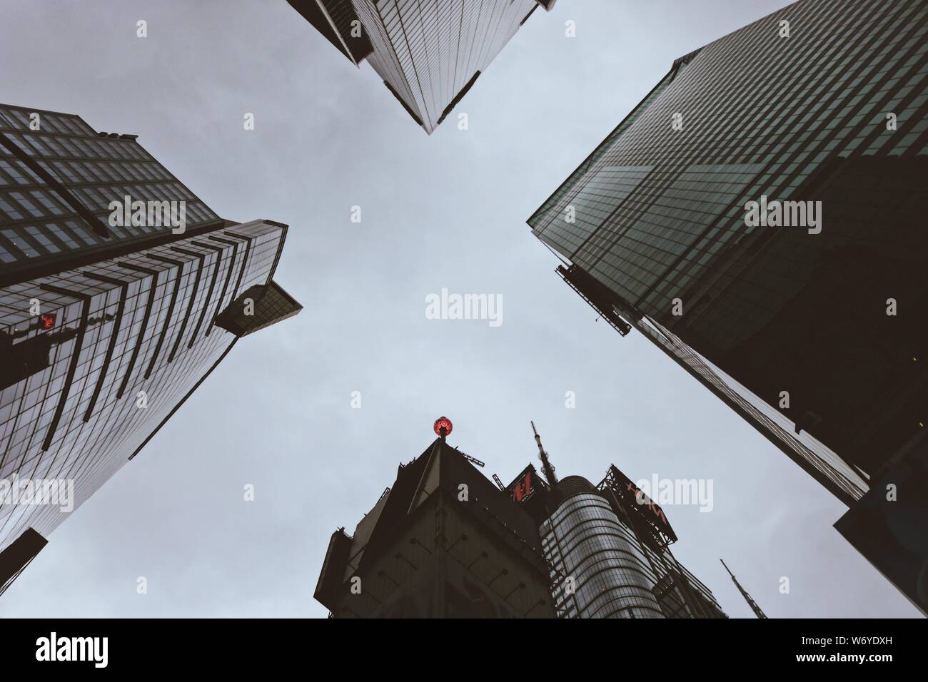 Cross view ants hi-res stock photography and images - Alamy