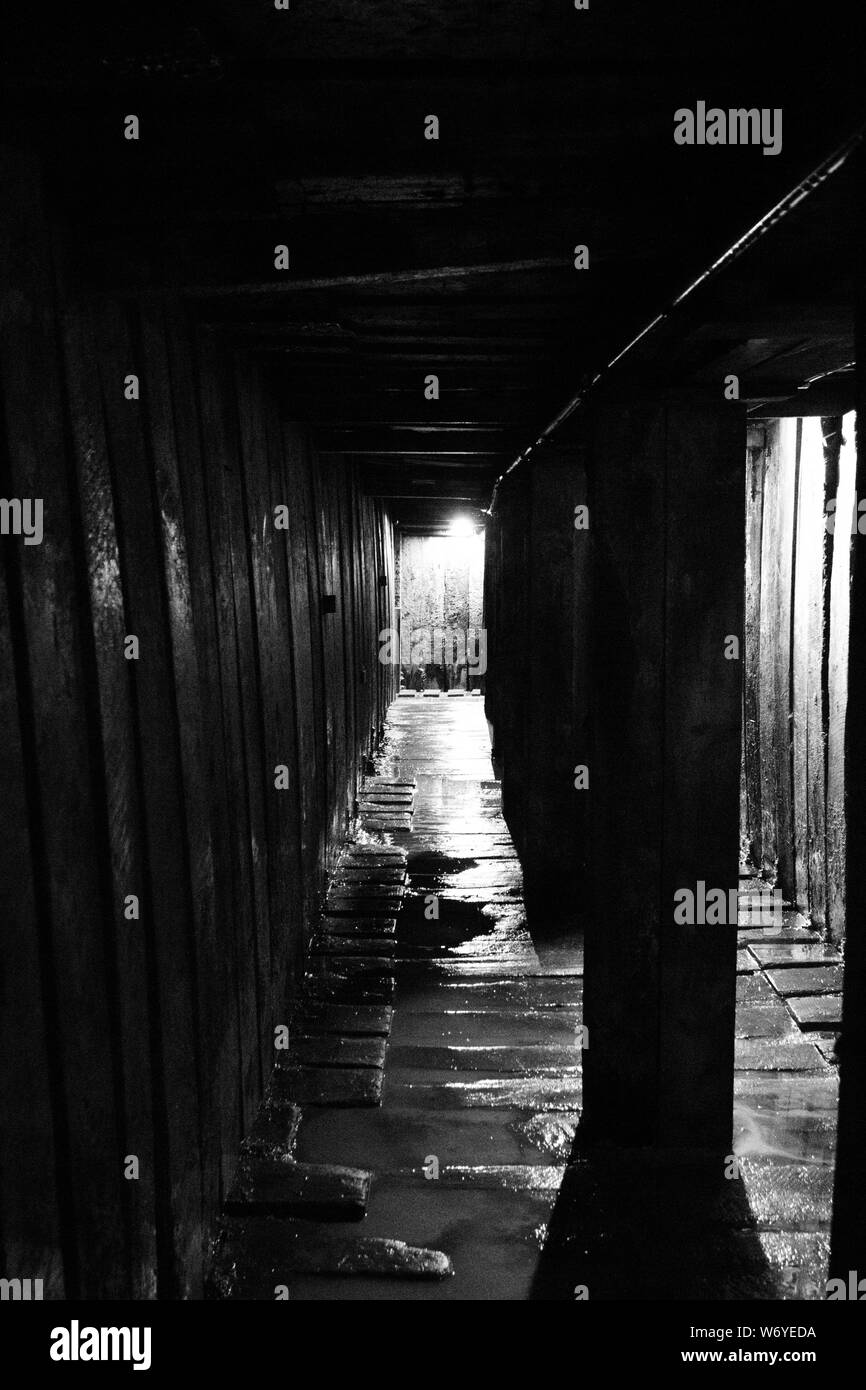 Trench warfare ww1 water hi-res stock photography and images - Alamy