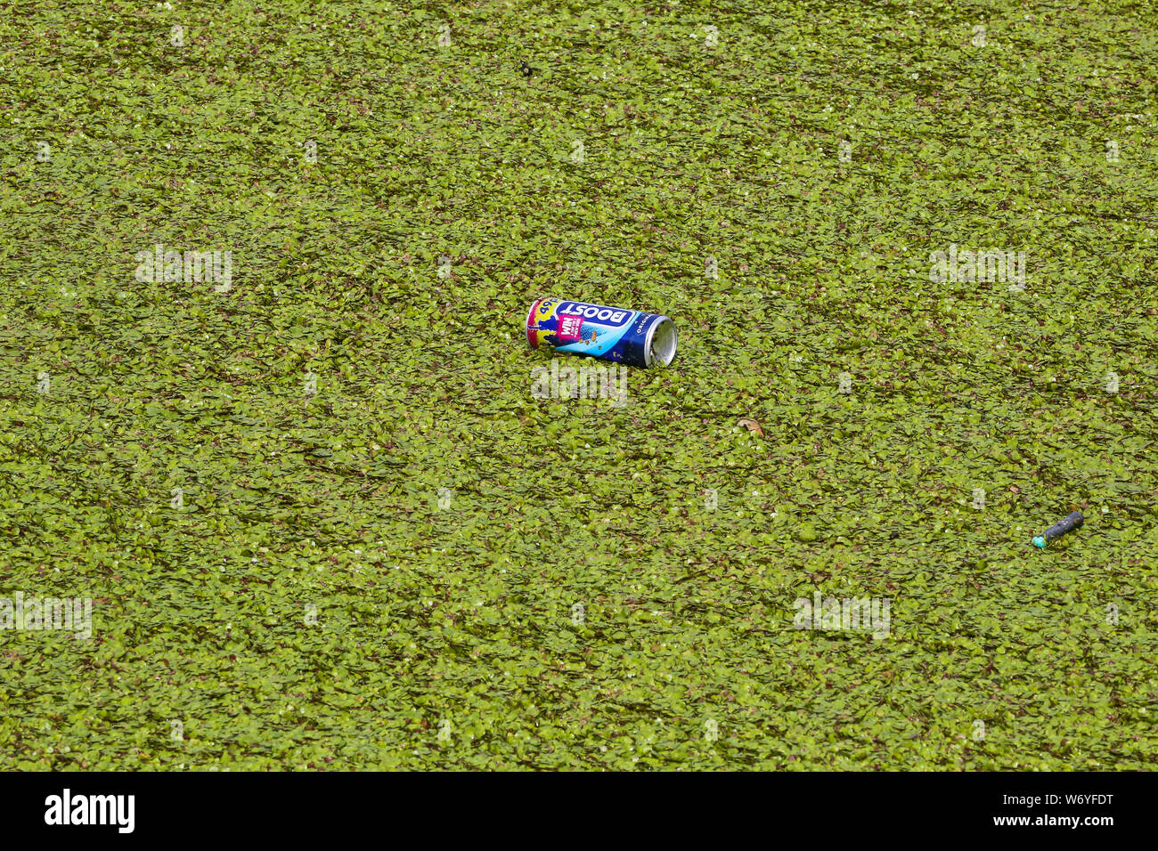 Taylor floats hi-res stock photography and images - Alamy