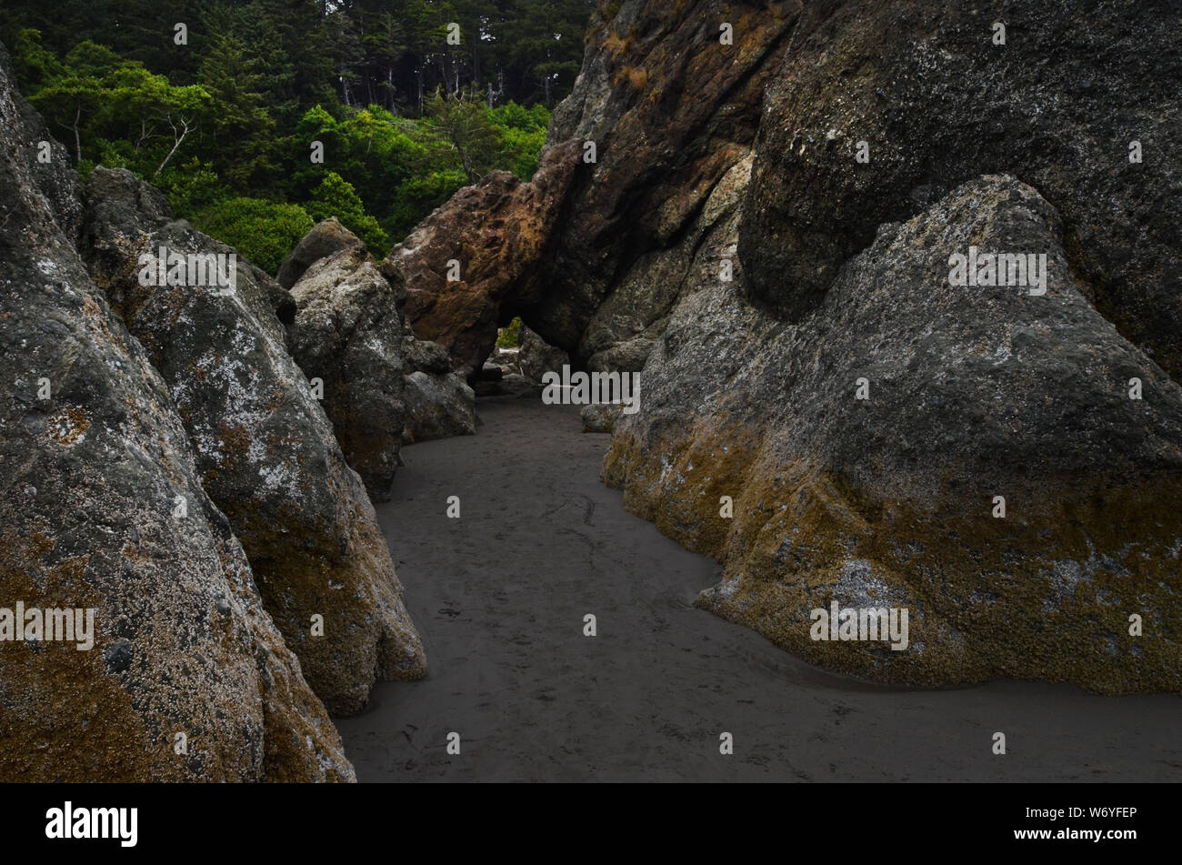 SHADES OF GREY: Grey overtones consume Ruby beach in Washington state ...
