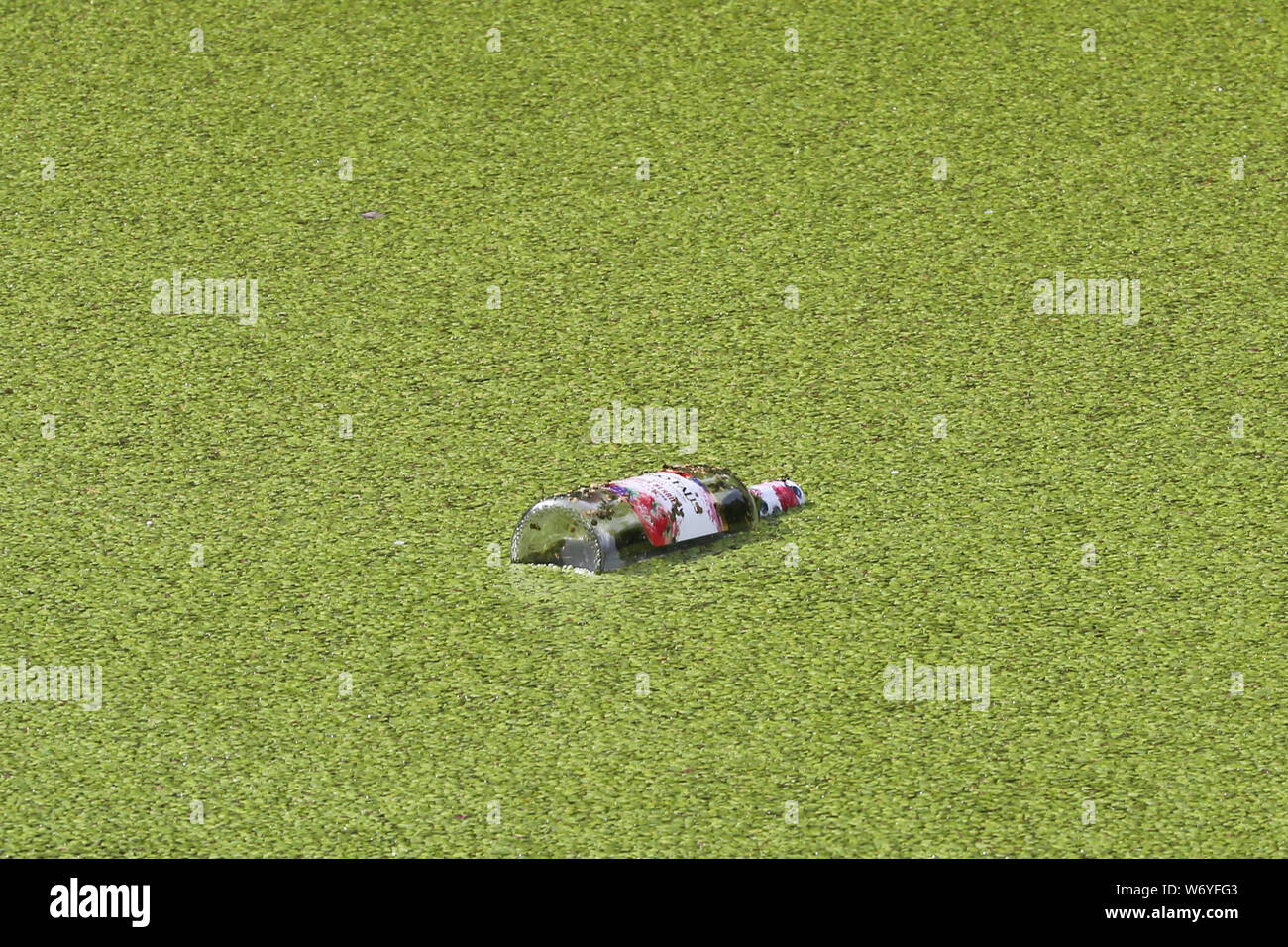 Taylor floats hi-res stock photography and images - Alamy