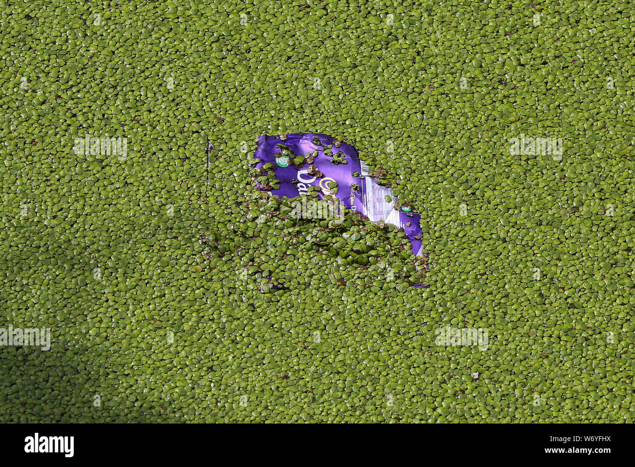 Taylor floats hi-res stock photography and images - Alamy
