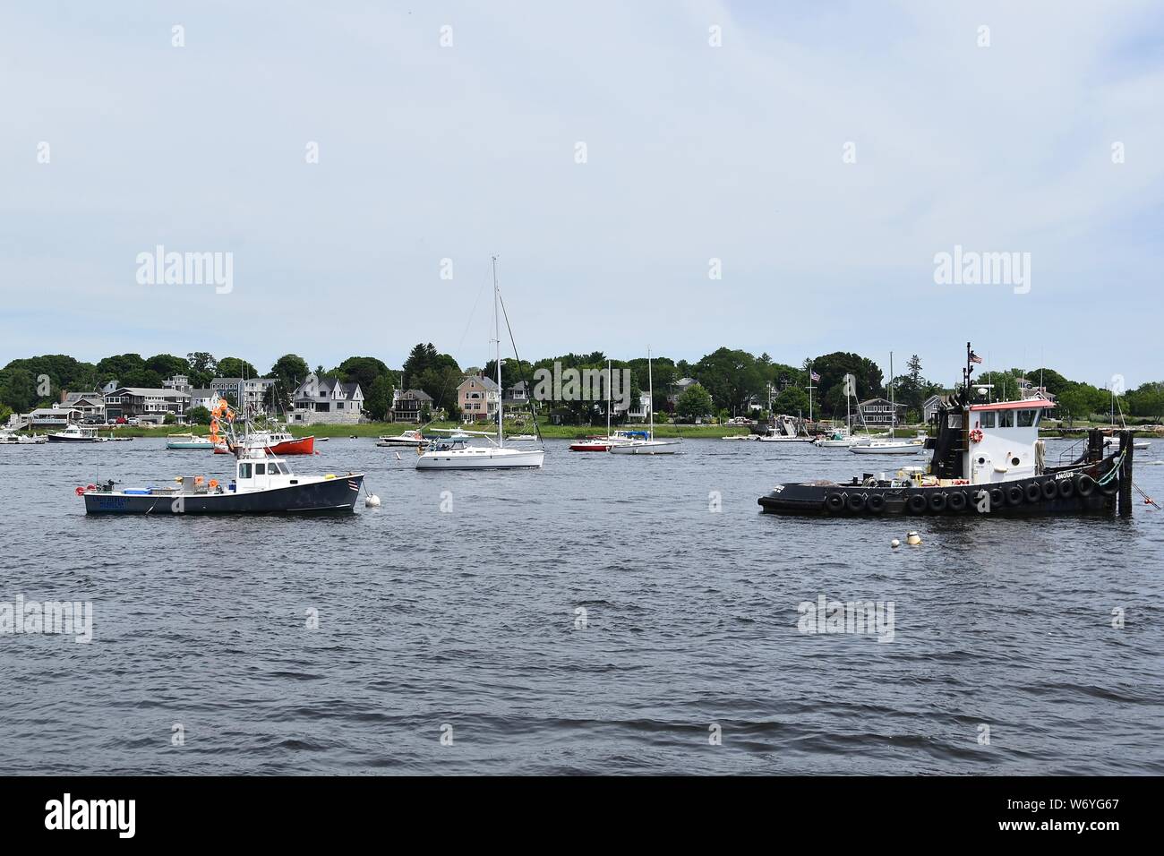 Massachusetts colony fish hi-res stock photography and images - Alamy