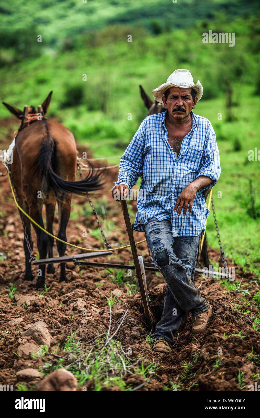 Arado arando hi-res stock photography and images - Alamy