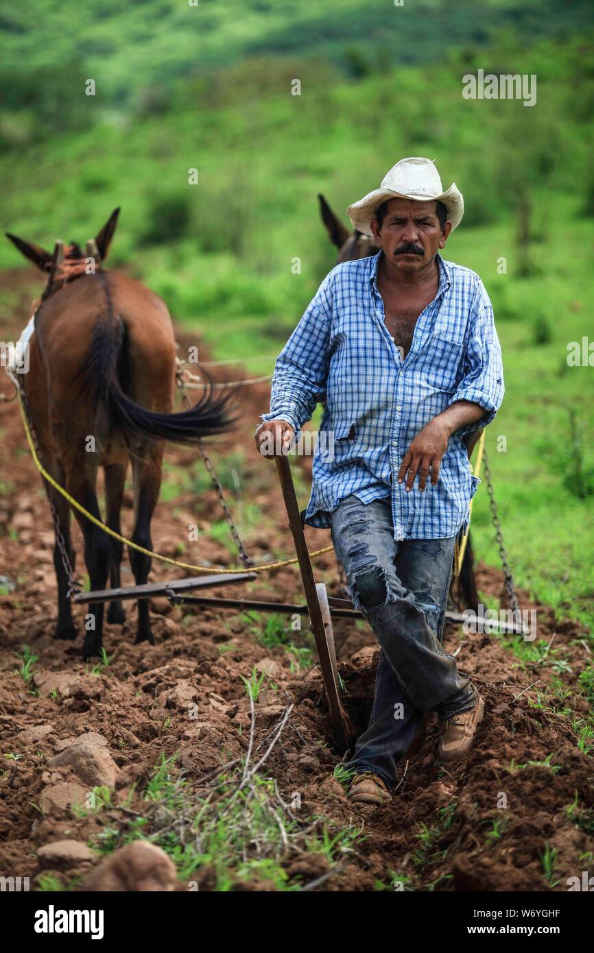 Arado tradicional hi-res stock photography and images - Alamy