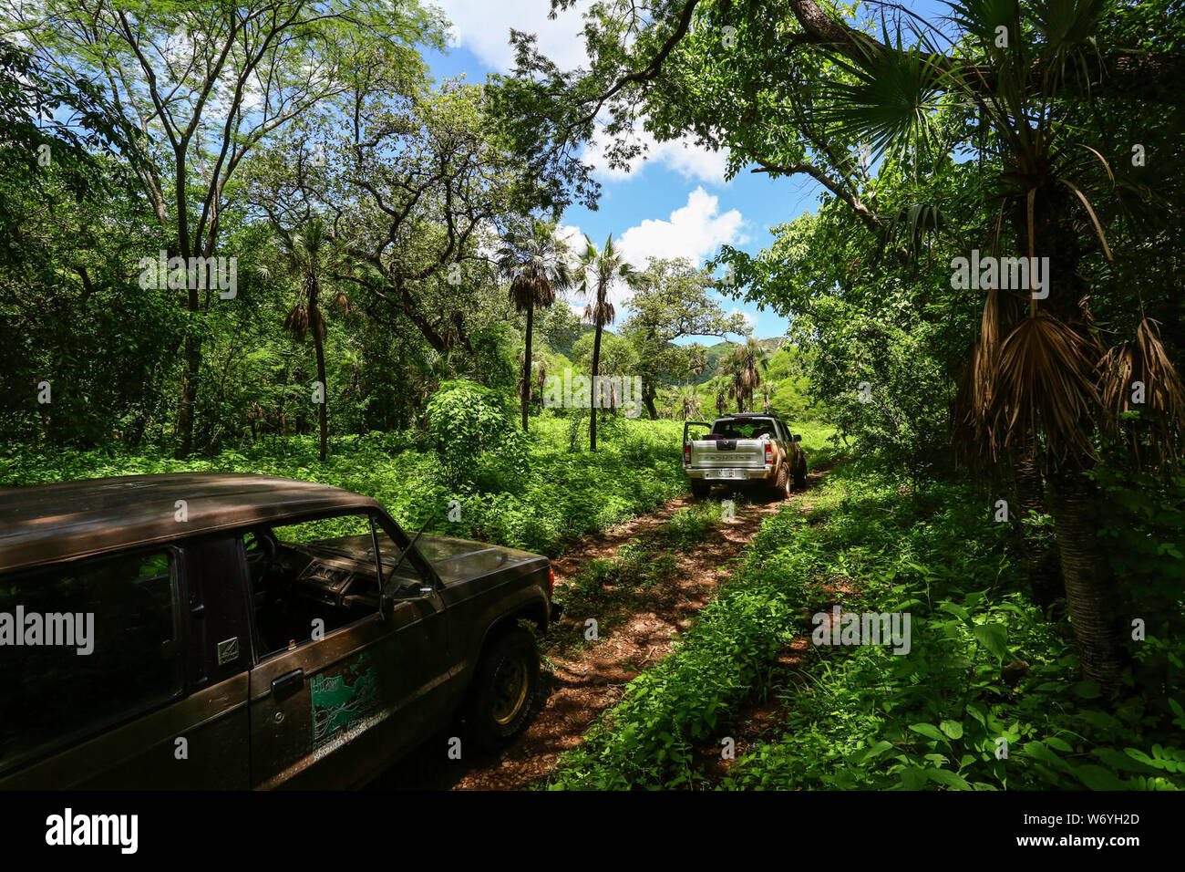 de los llanos al Chalate. cactus en la Poza del Mime. **** Reserva ...