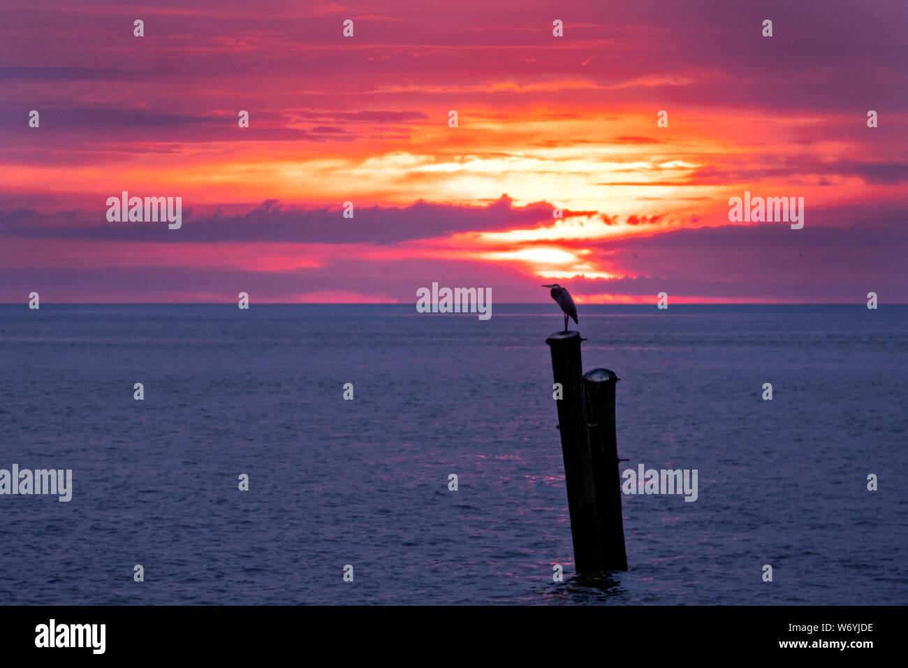 St simons island sound hi-res stock photography and images - Alamy