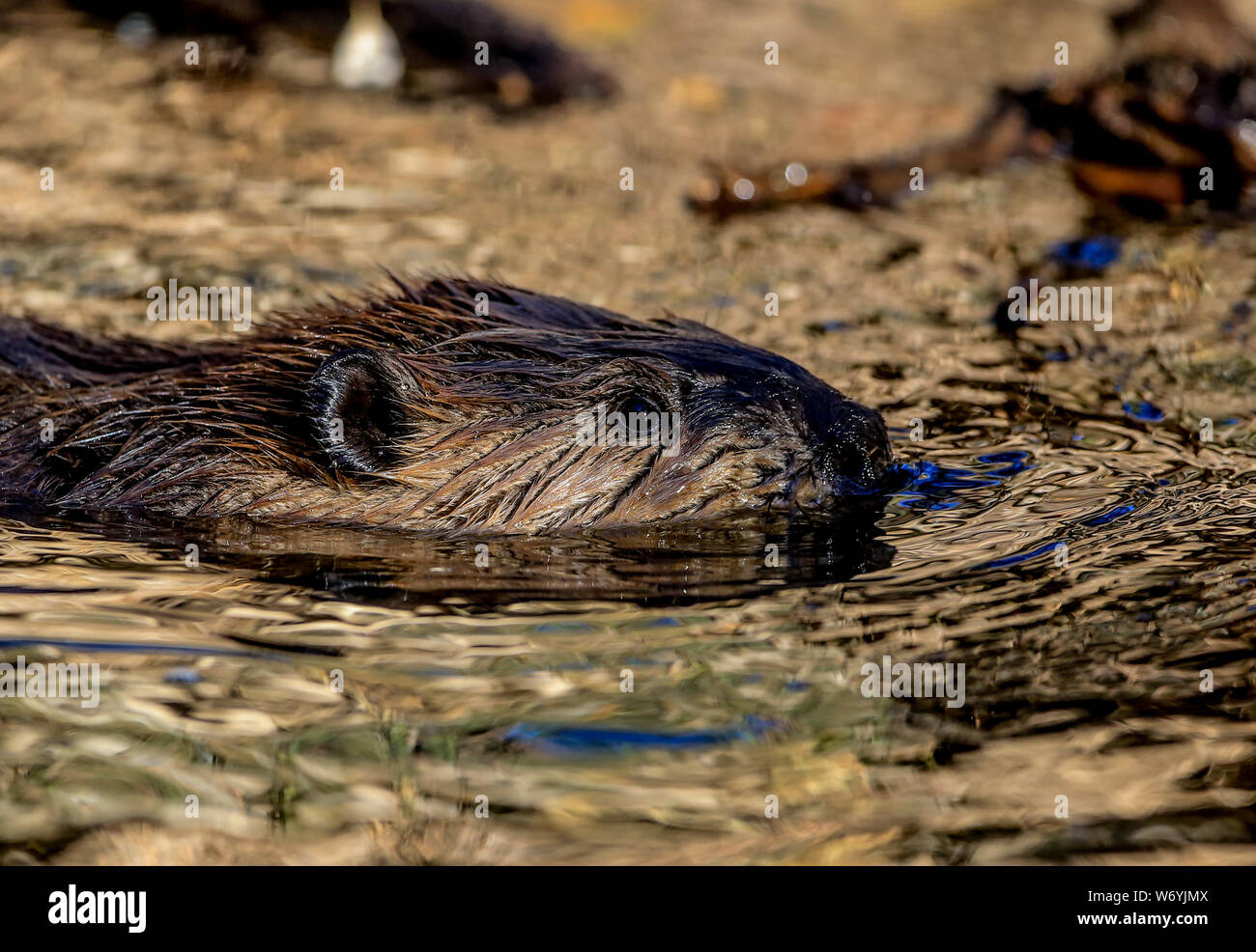 Cuenca los ojos hi-res stock photography and images - Alamy
