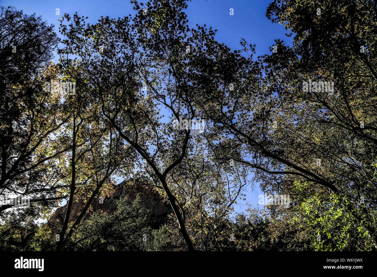 Cuenca los Ojos. CreditoFoto: LuisGutierrez Stock Photo - Alamy