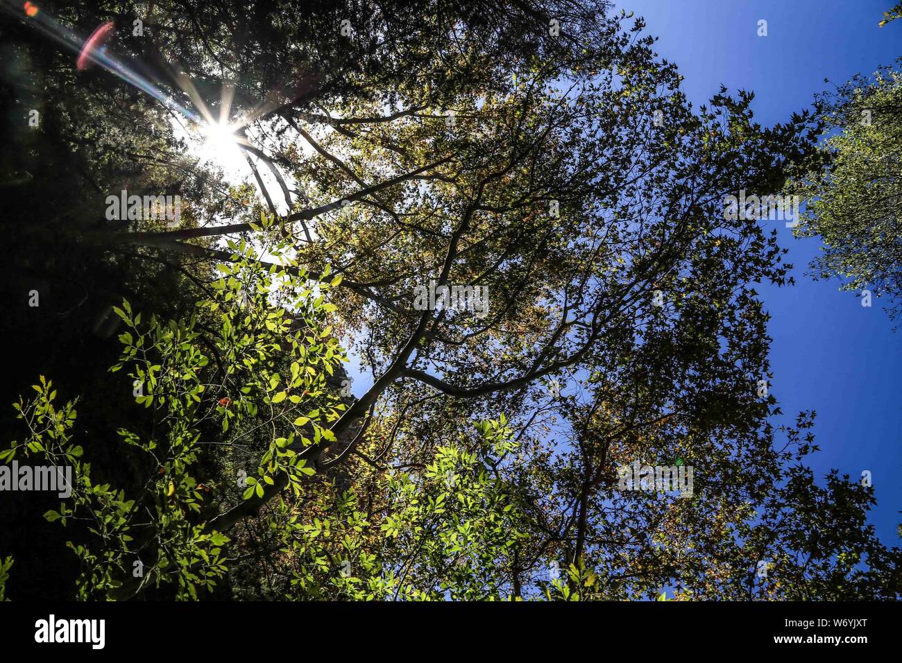 Cuenca los ojos hi-res stock photography and images - Alamy