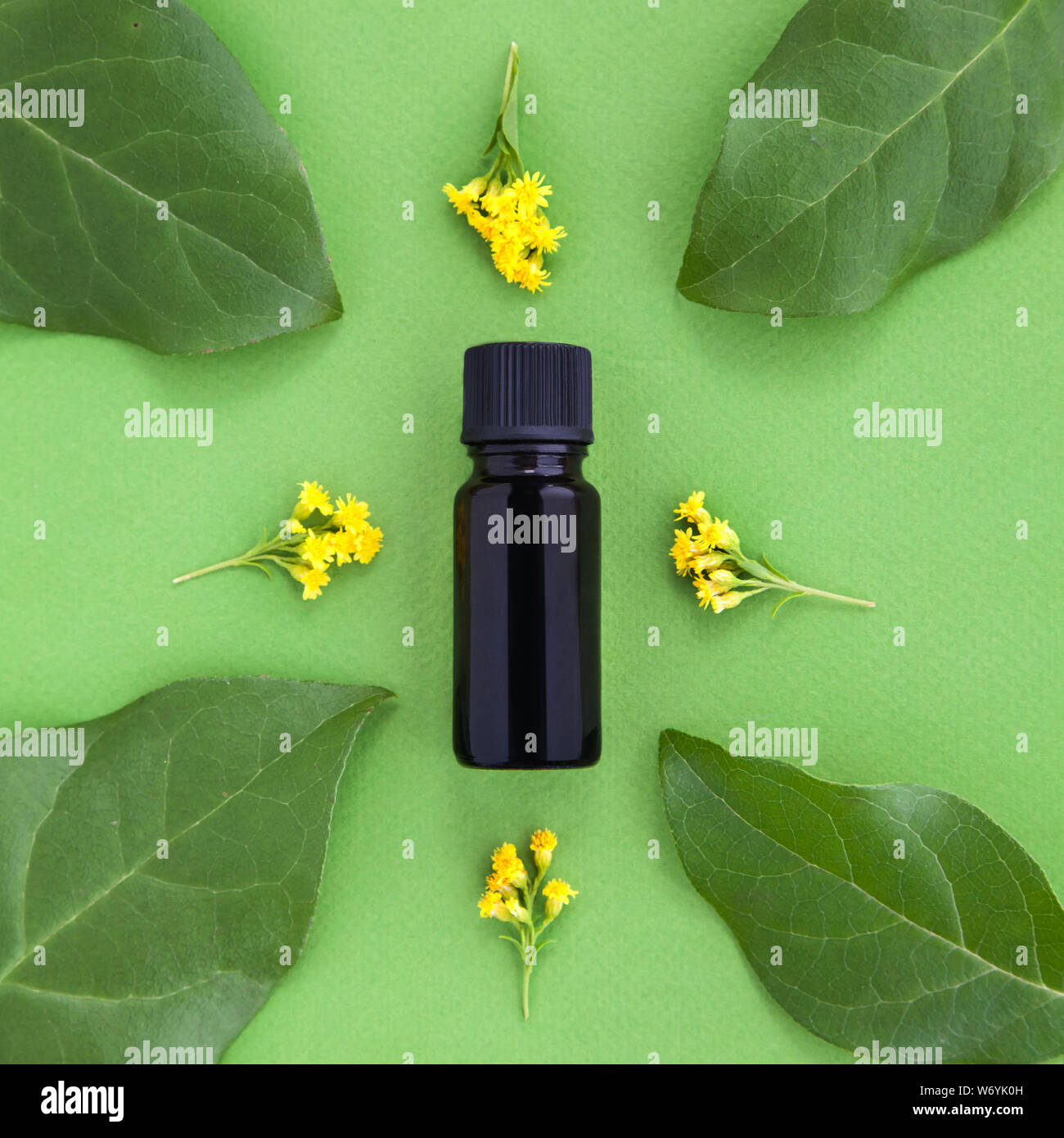 A bottle of essential oil with fresh herbs and flowers around on a ...