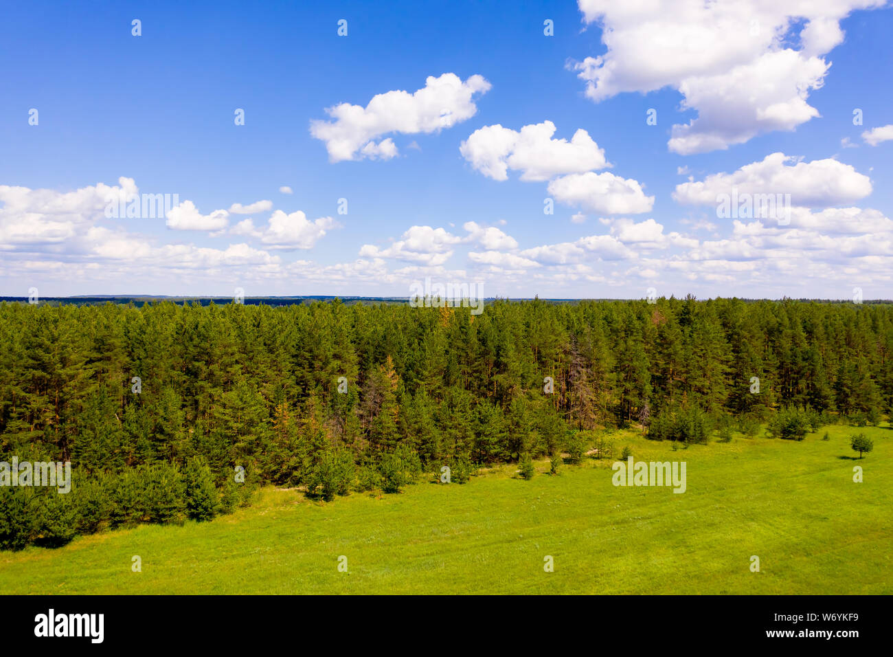 Bright spring landscape with forest, green grass and blue sky with ...
