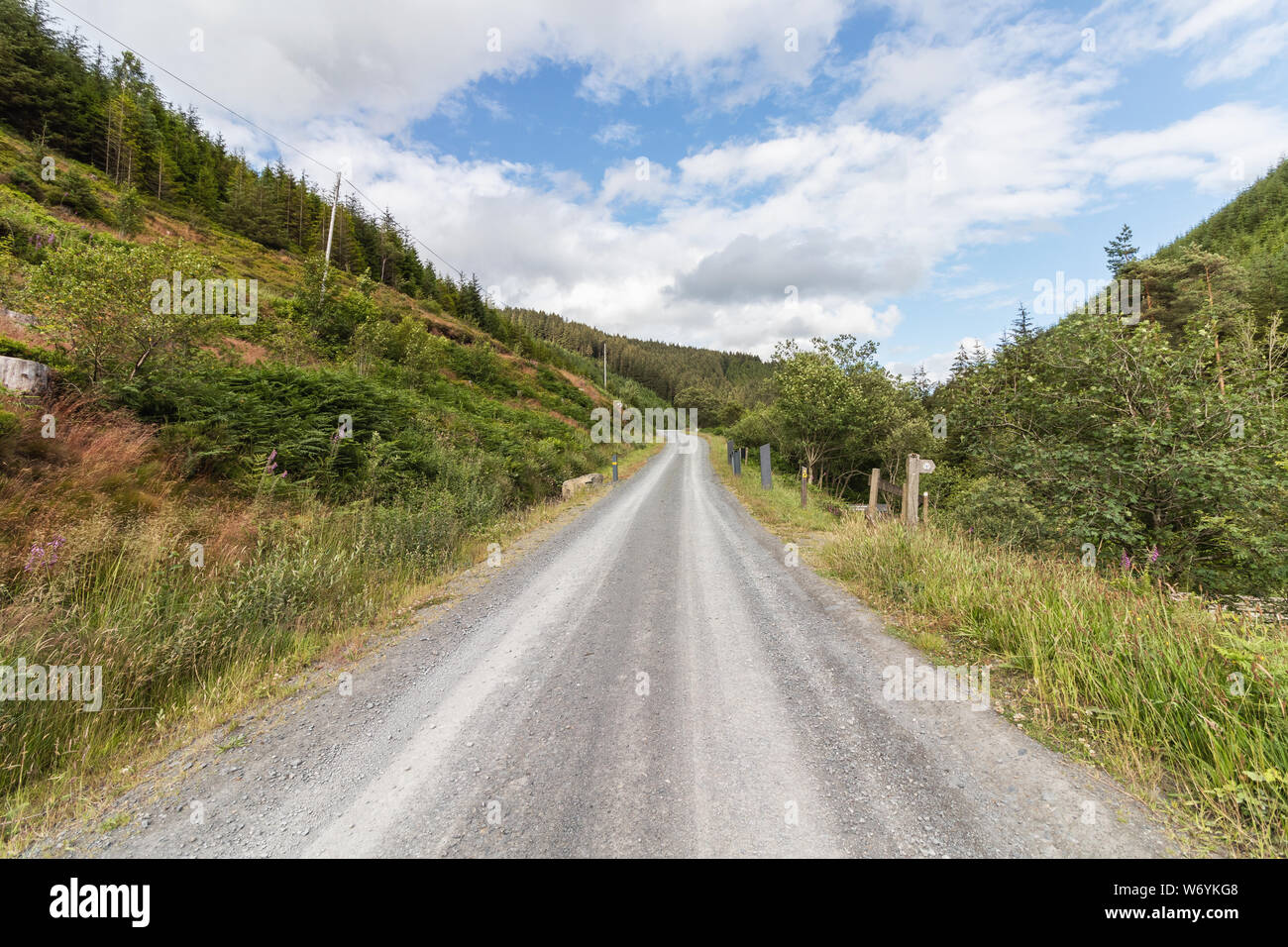 Lane landscape environment hi-res stock photography and images - Alamy