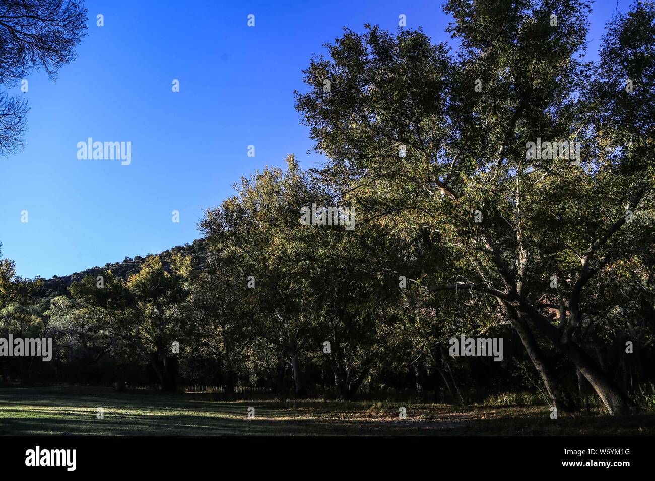 Cuenca los ojos hi-res stock photography and images - Alamy