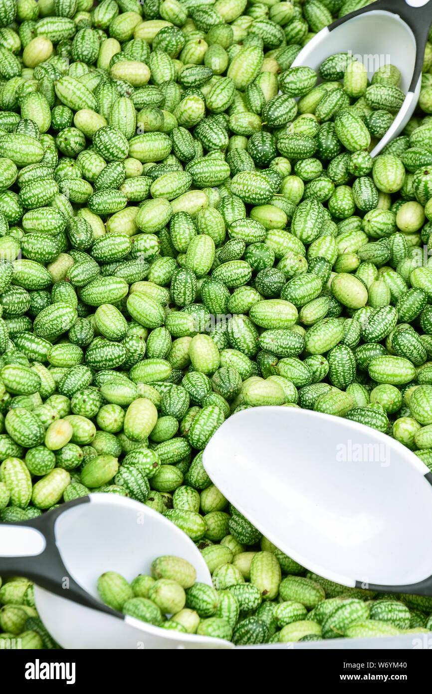 Cucamelon Mexican Sour Cucumber in a Organic local food street market ...