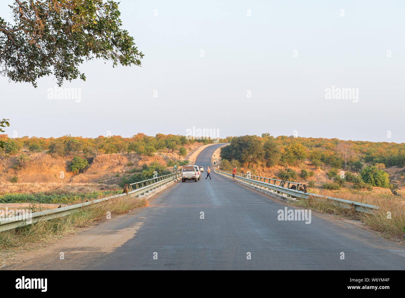 KRUGER NATIONAL PARK, SOUTH AFRICA - MAY 7, 2019: Bridge on road H1-6 ...