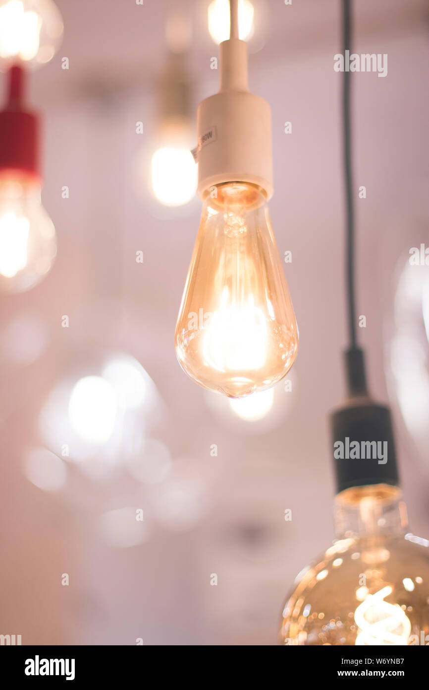 LED modern lights and bulbs on display in store lighting department ...