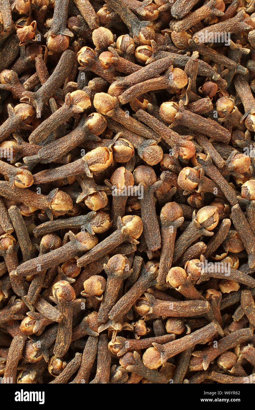 Top view on a pile of dry spice cloves Stock Photo - Alamy