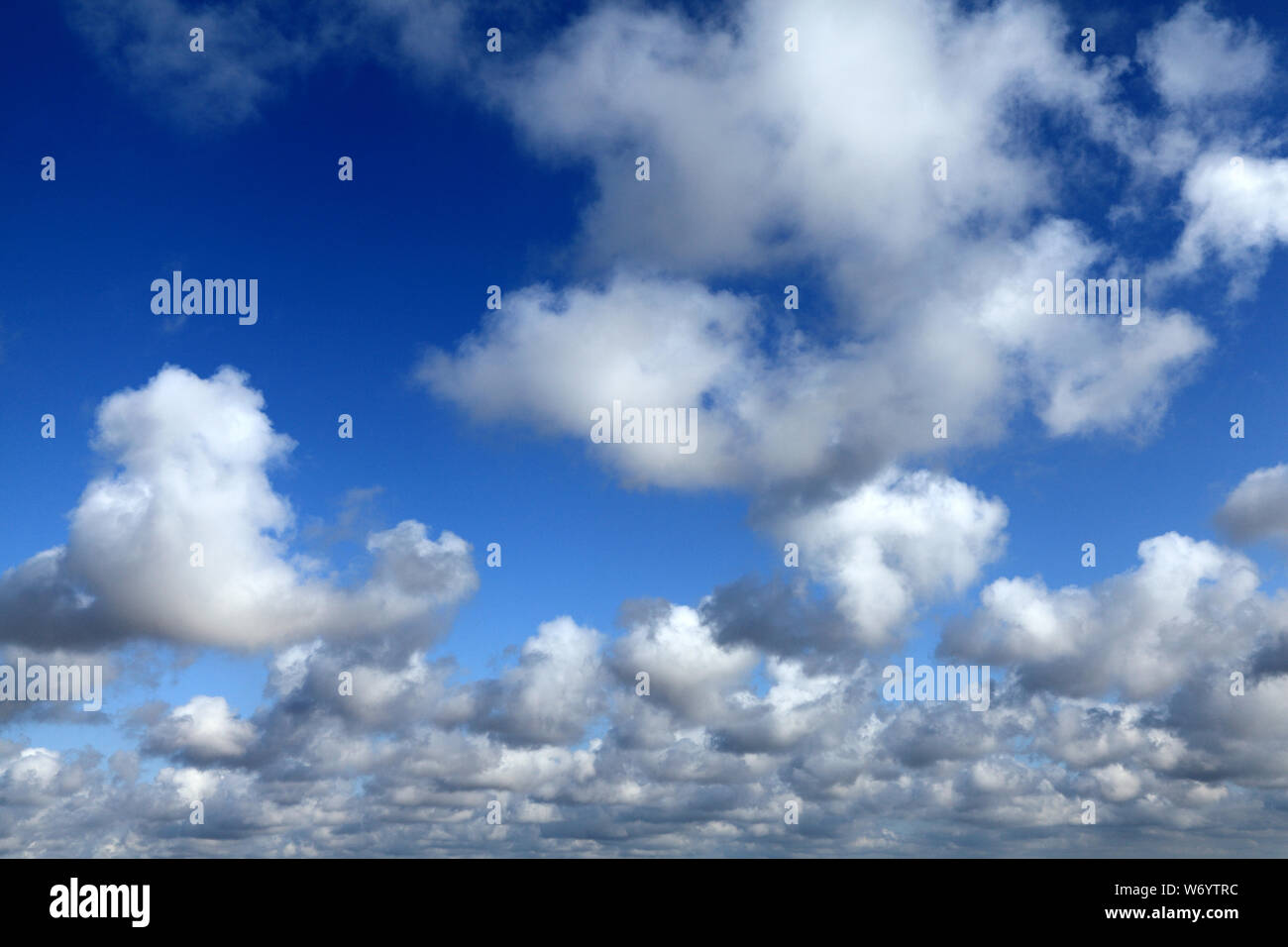 White cumulus cloud, clouds, blue sky, meteorology, cloud formation ...