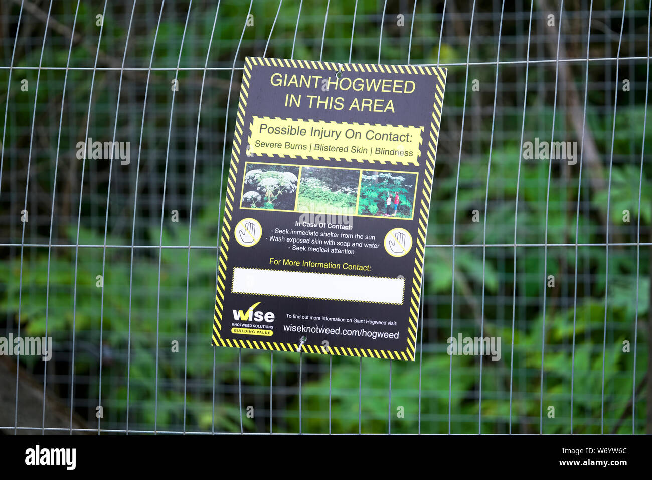 Japanese knotweed warning hi-res stock photography and images - Alamy