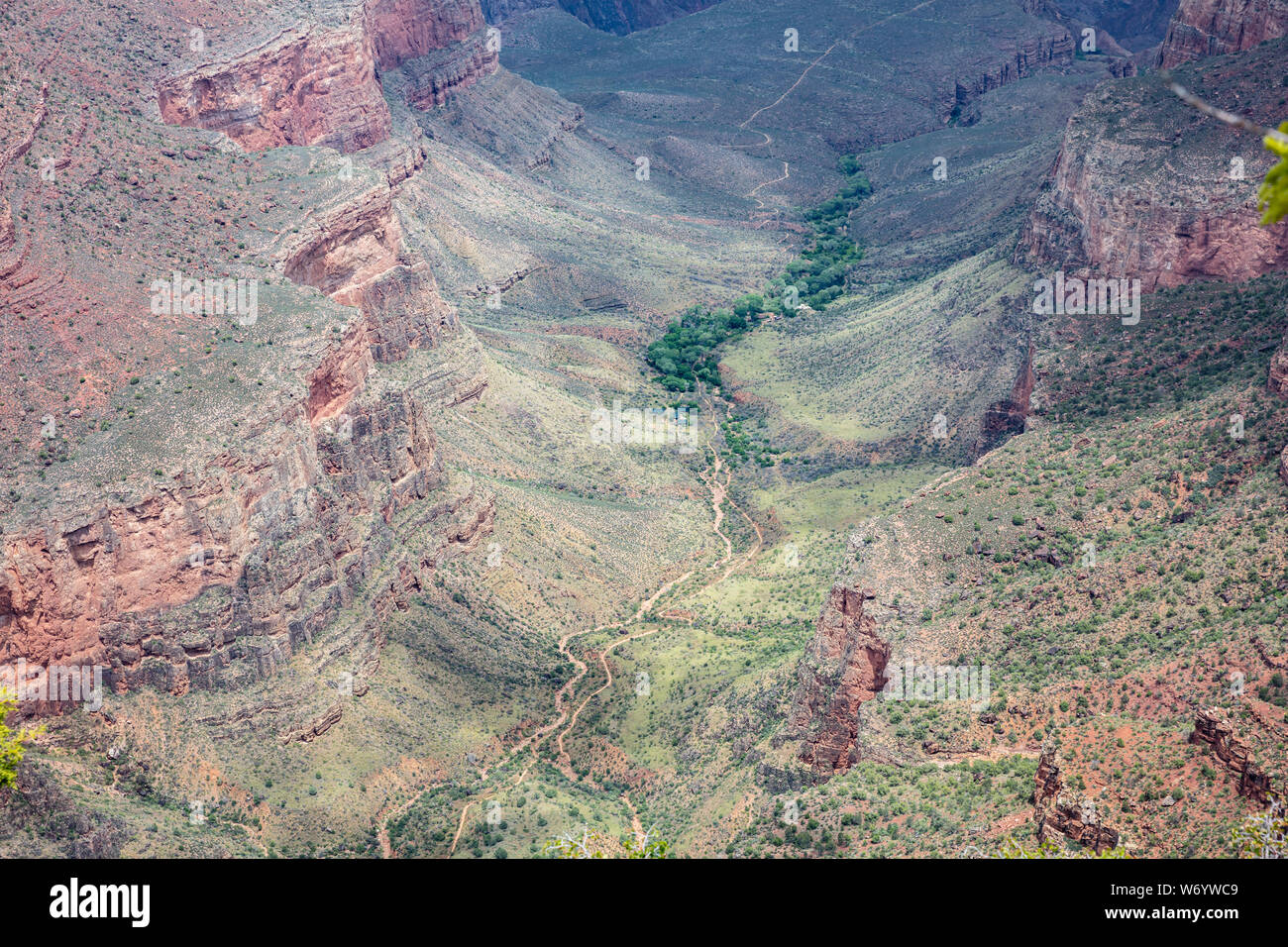 Grand Canyon National park, Arizona, United States. Overlook of the red ...