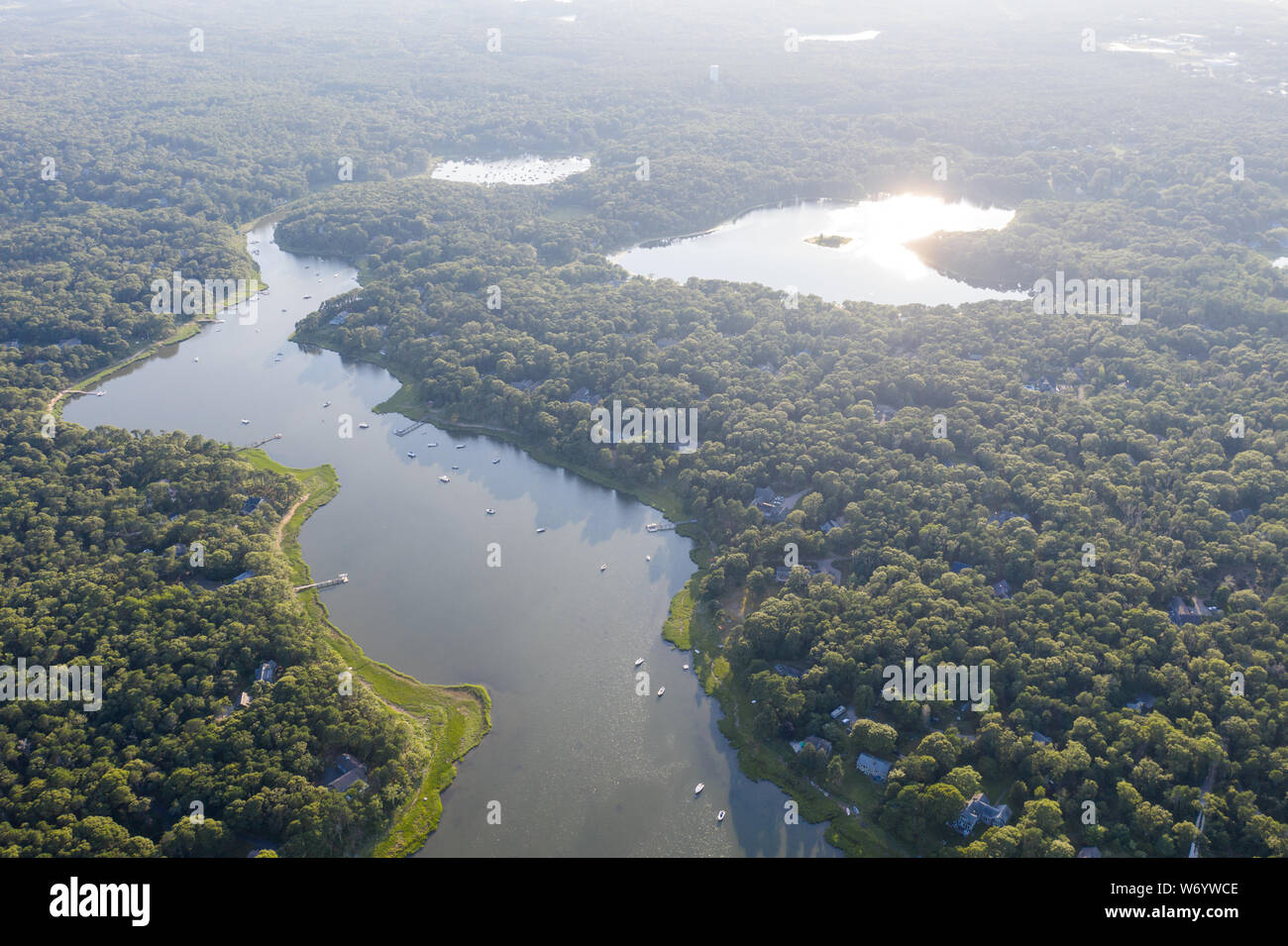 Cape cod water birds hi-res stock photography and images - Alamy