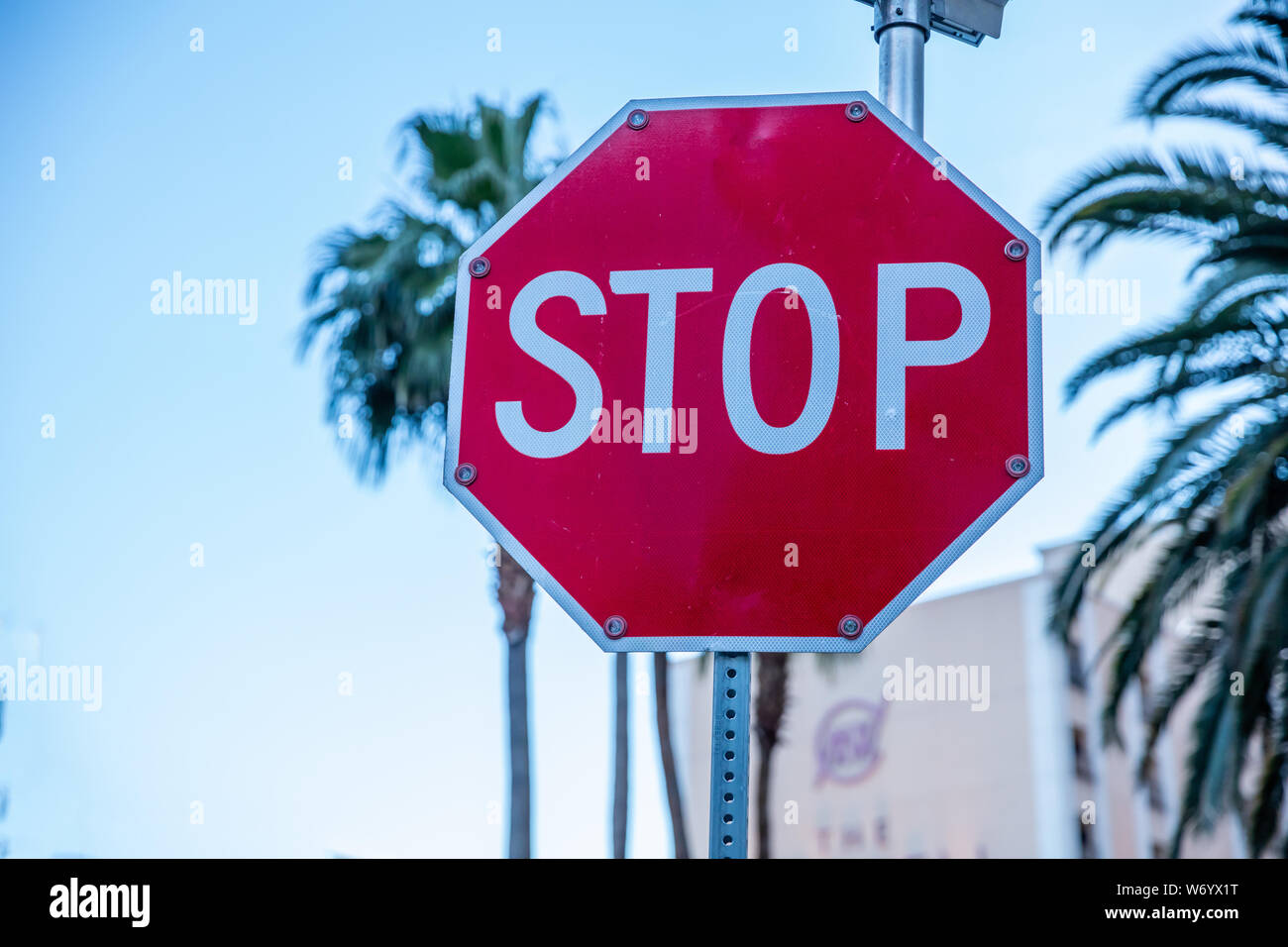 Stop road sign. Blur palm trees and blue sky background. Sunny spring ...