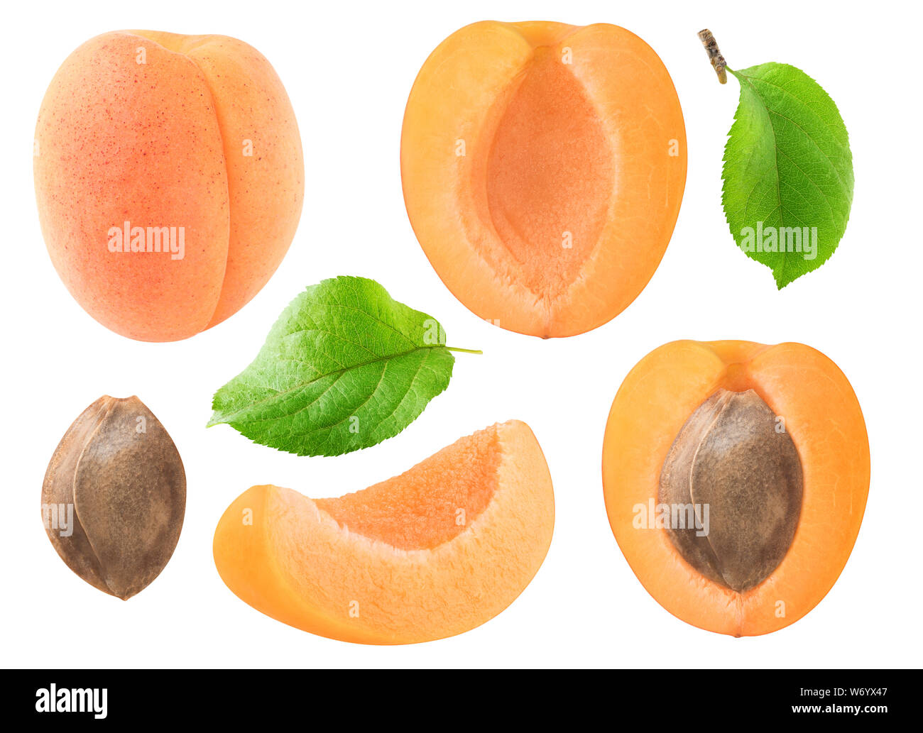 Isolated apricots collection. Whole and cut apricot fruits, leaves and ...