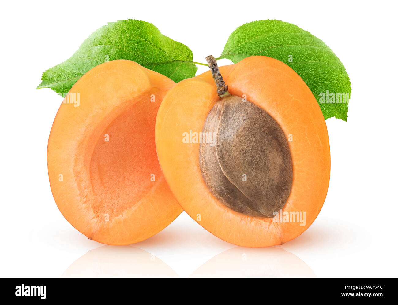 Isolated apricot. One apricot fruit cut in halves with kernel and leaf ...