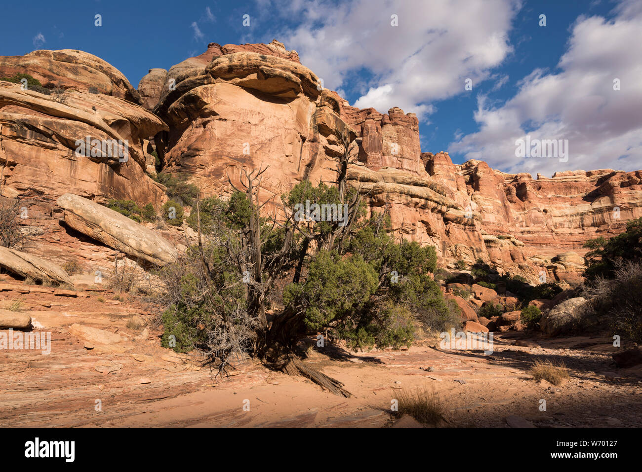 Massive rock stands out hi-res stock photography and images - Alamy