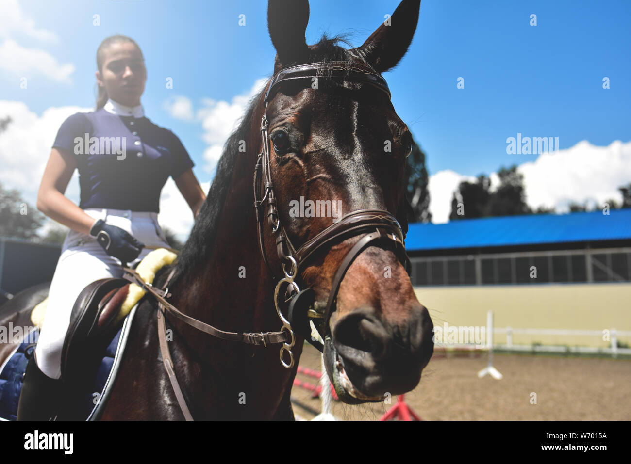Equestrian girl hi-res stock photography and images - Alamy