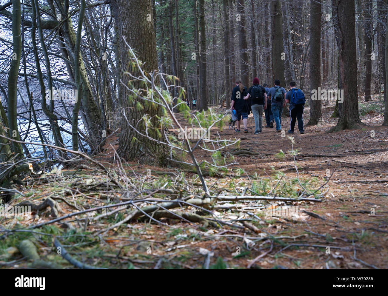 Group hiking woods hi-res stock photography and images - Alamy