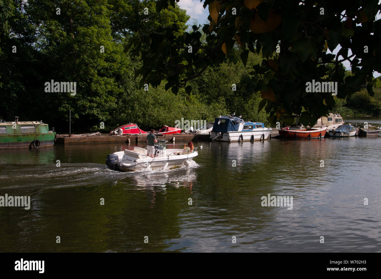 speedboat on Thames Twickenham UK Stock Photo - Alamy