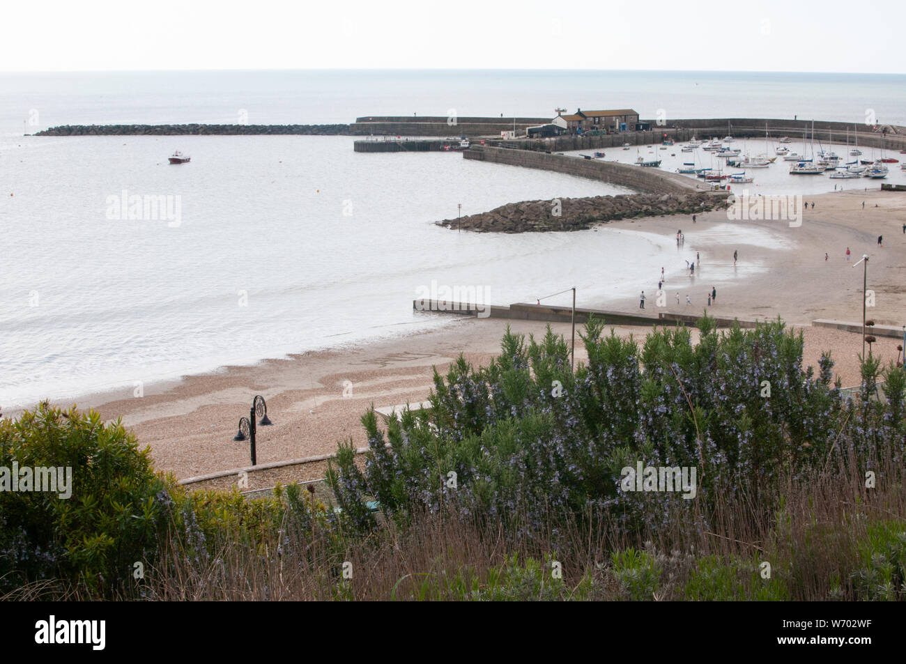 Lyme bay seaside hi-res stock photography and images - Alamy