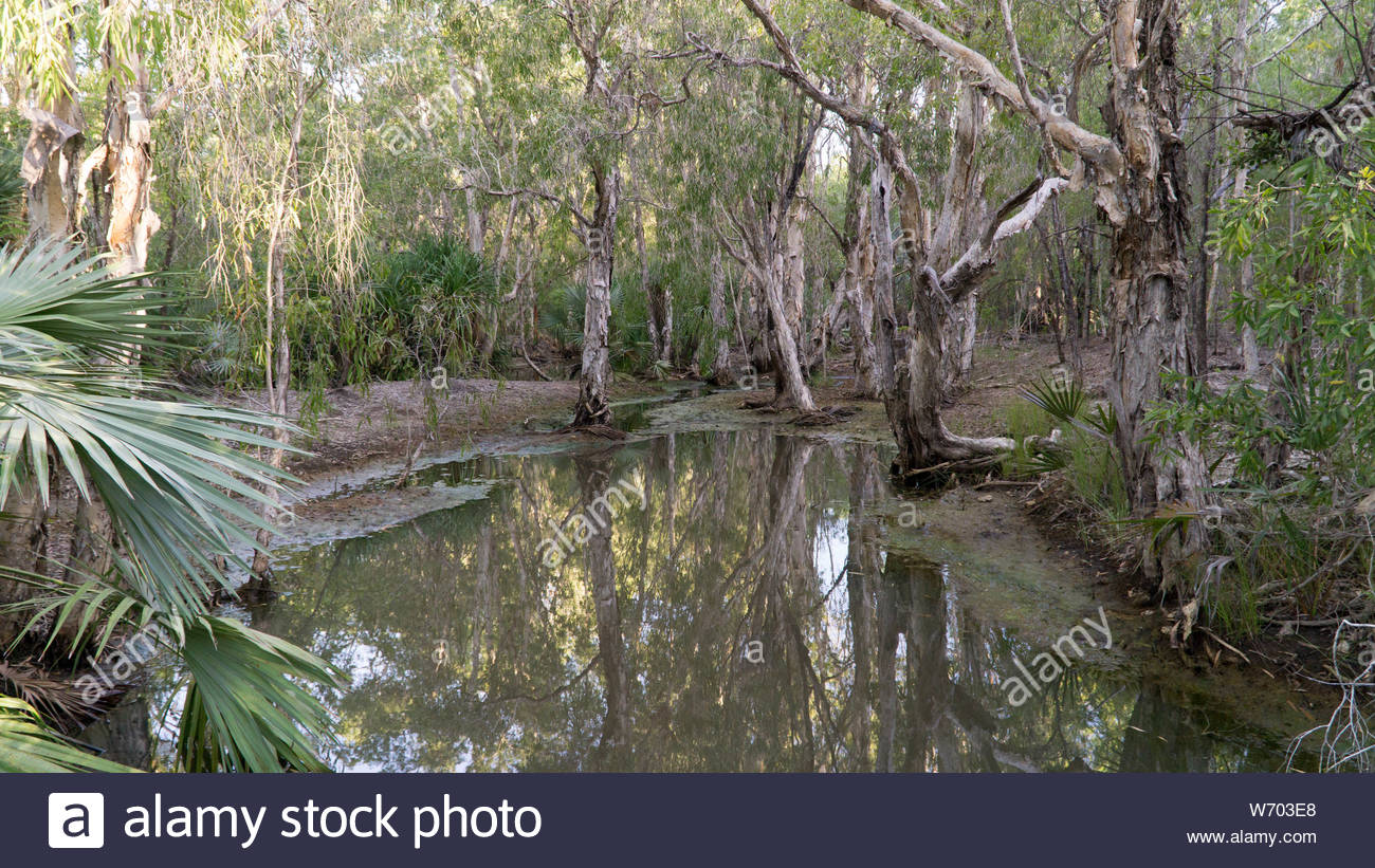 Native Environment High Resolution Stock Photography and Images - Alamy