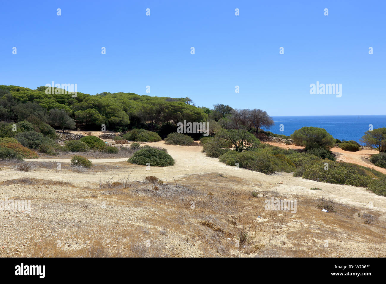 Dirt tracks through the Caminho Da Baleeira Nature Reserve near ...